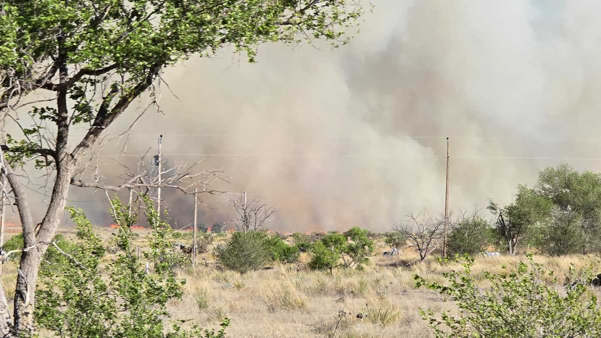 Evacuations lifted for 20,000 acre Line Fire in Quay County
