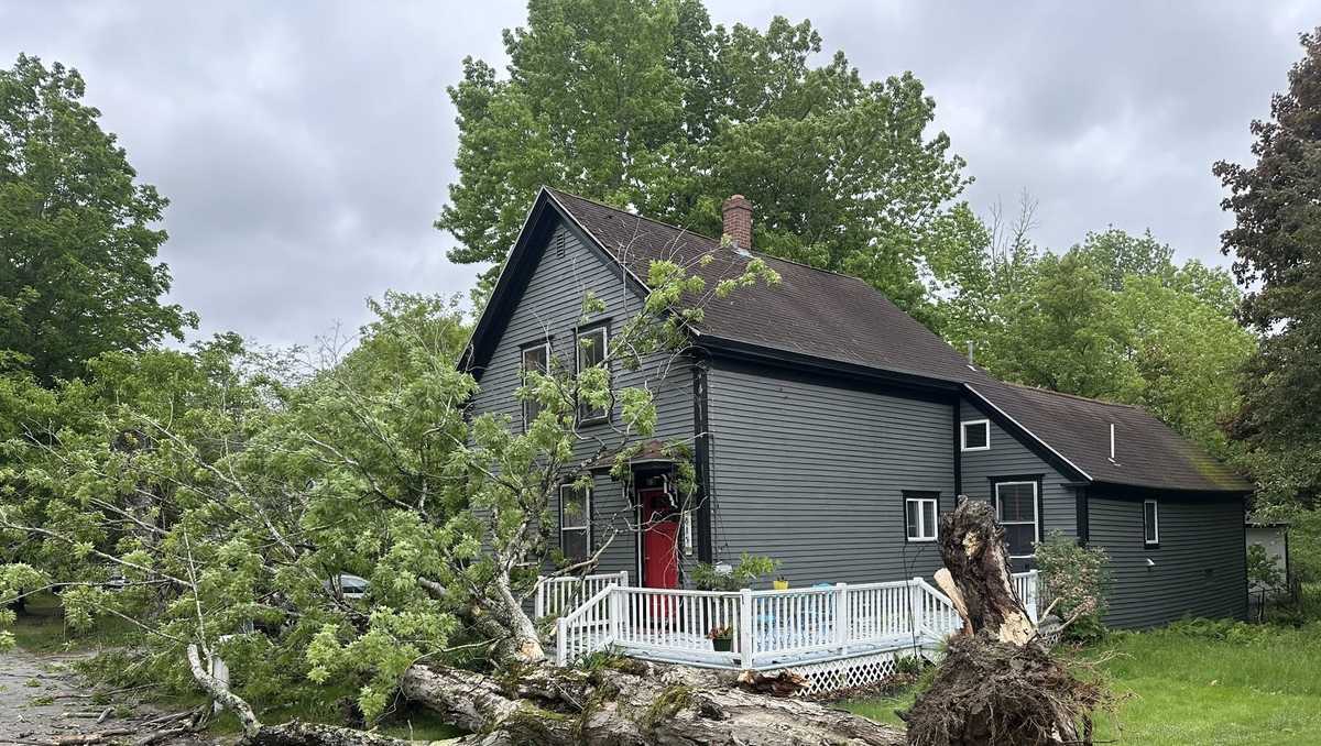 Fallen tree closes Main Street, narrowly misses home in Monmouth