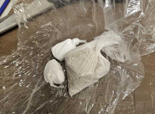 Slidell police arrest twelve in narcotics investigation titled ...