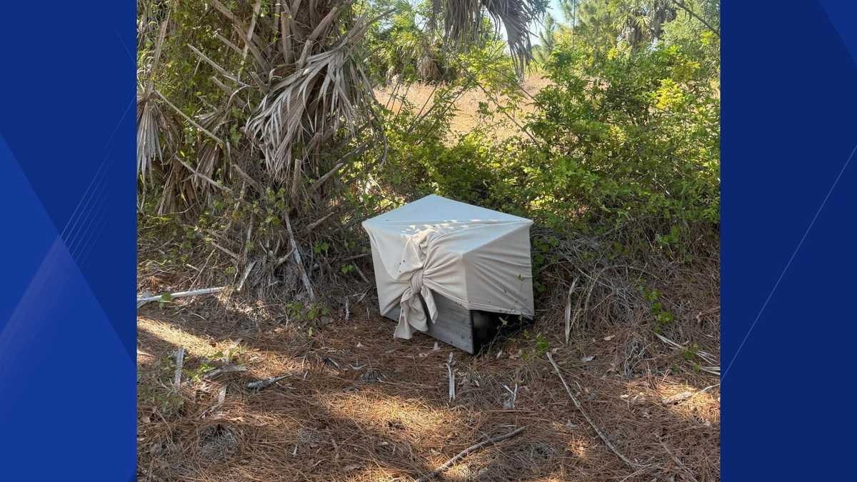 Dog found dead inside crate on side of road in Cape Coral prompts ...