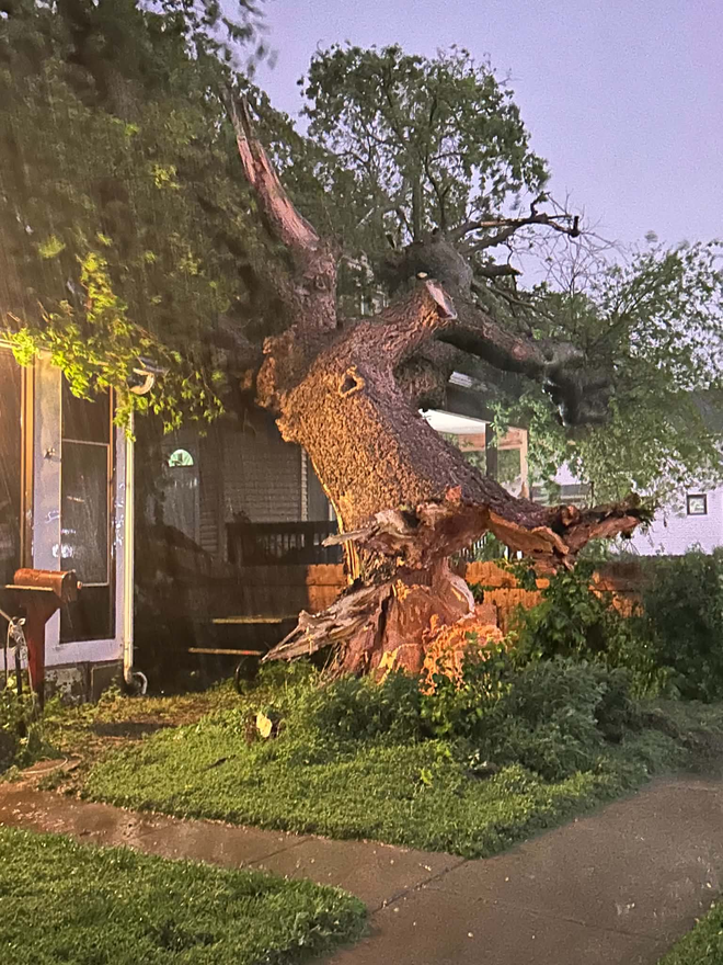 Iowa storm damage: Tree falls on homes