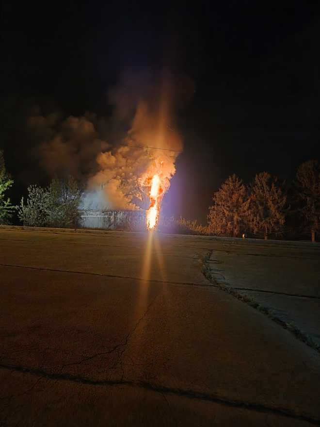 Baby goats among animals killed in York County, Pa. barn fire