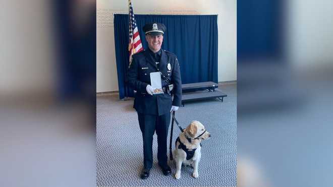 Remembering Rebel: Walpole service dog dies in 'tragic accident' at ...