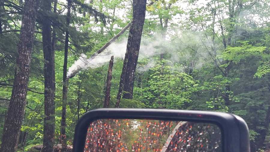 Power outages climb in Maine as strong winds bring trees down onto wires