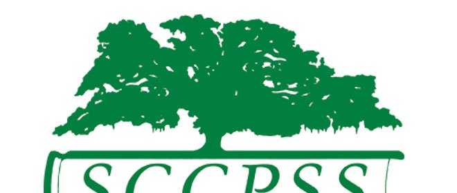 UPDATE: SCCPSS identifies students in violent brawl at New Hampstead ...