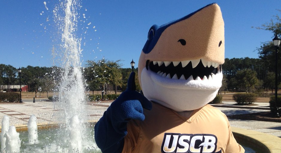 A USCB Shark Tale : Finnegan on Campus