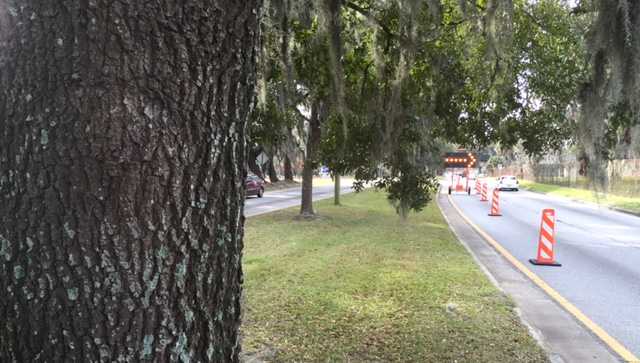 City removing 10 trees along White Bluff Road, causes traffic delays