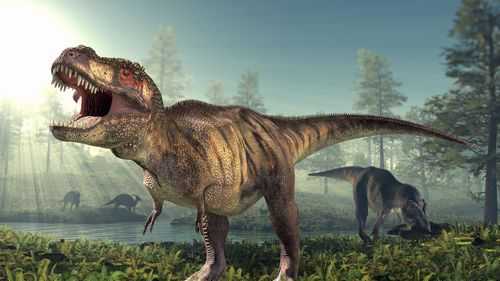 STUDY: T. rex grew slower and lived longer than thought