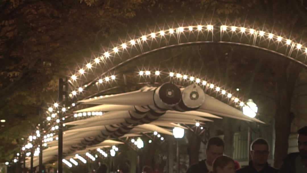 Take a walk under this 'beeline' pathway at BLINK Cincinnati