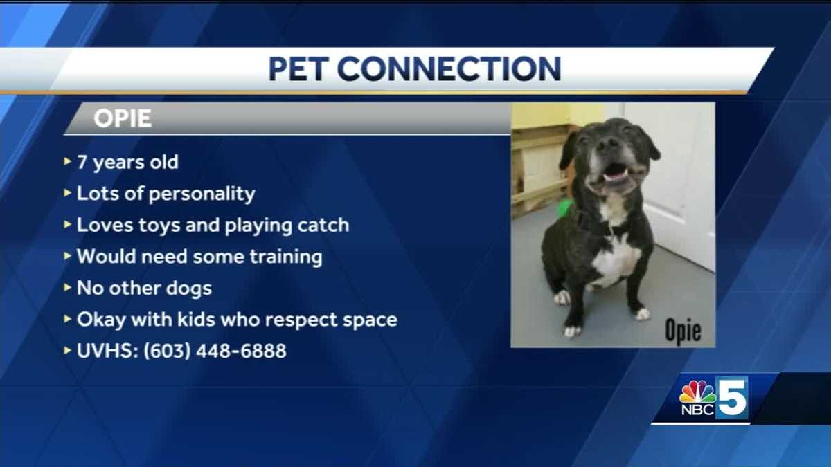Pet Connection: 4-19-18