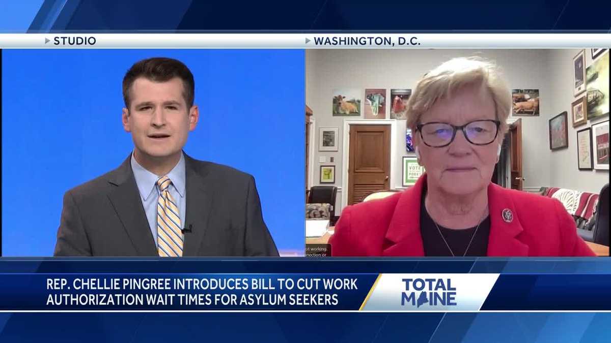 Pingree introduces bill to cut work permit wait for asylees