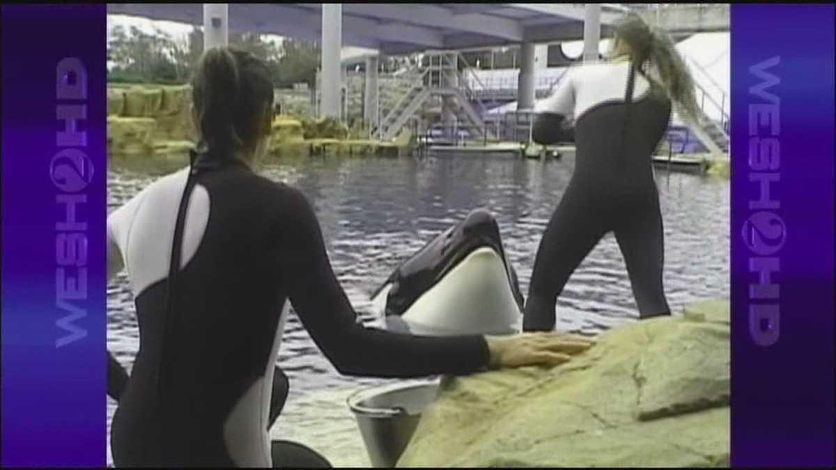 SeaWorld fires back at controversial film