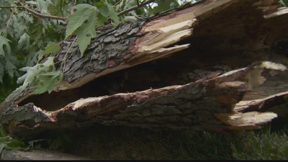 Large tree branch hits woman walking, injuring her