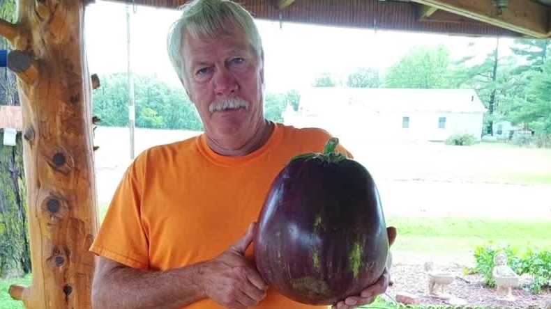 World's largest eggplant: Iowa man claims new record