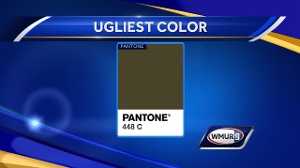 This is the ugliest color on the planet
