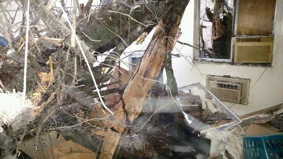 Tree falls on Etna apartment building