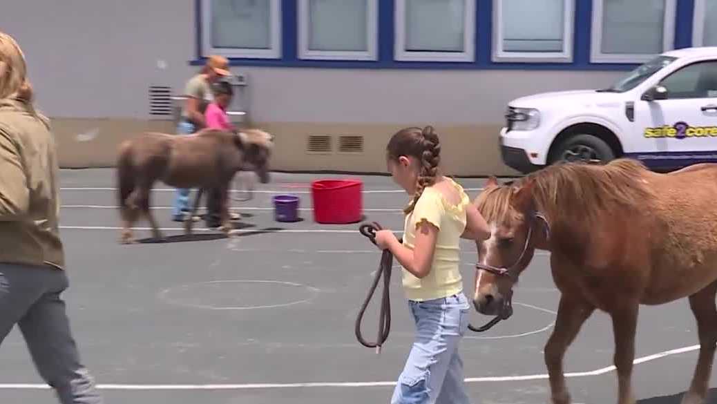 Salinas students connect with horses to boost reading skills