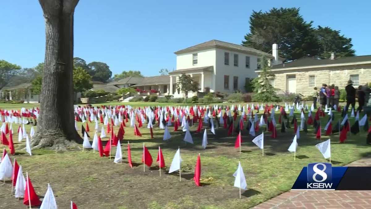 Monterey displays 1500 flags in honor of fentanyl overdose victims