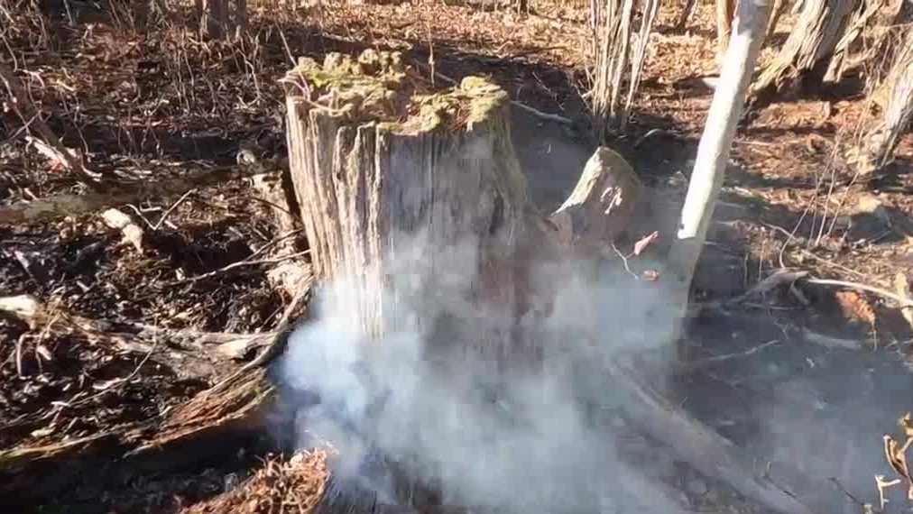 Crews from across state work to keep brush fire from spreading