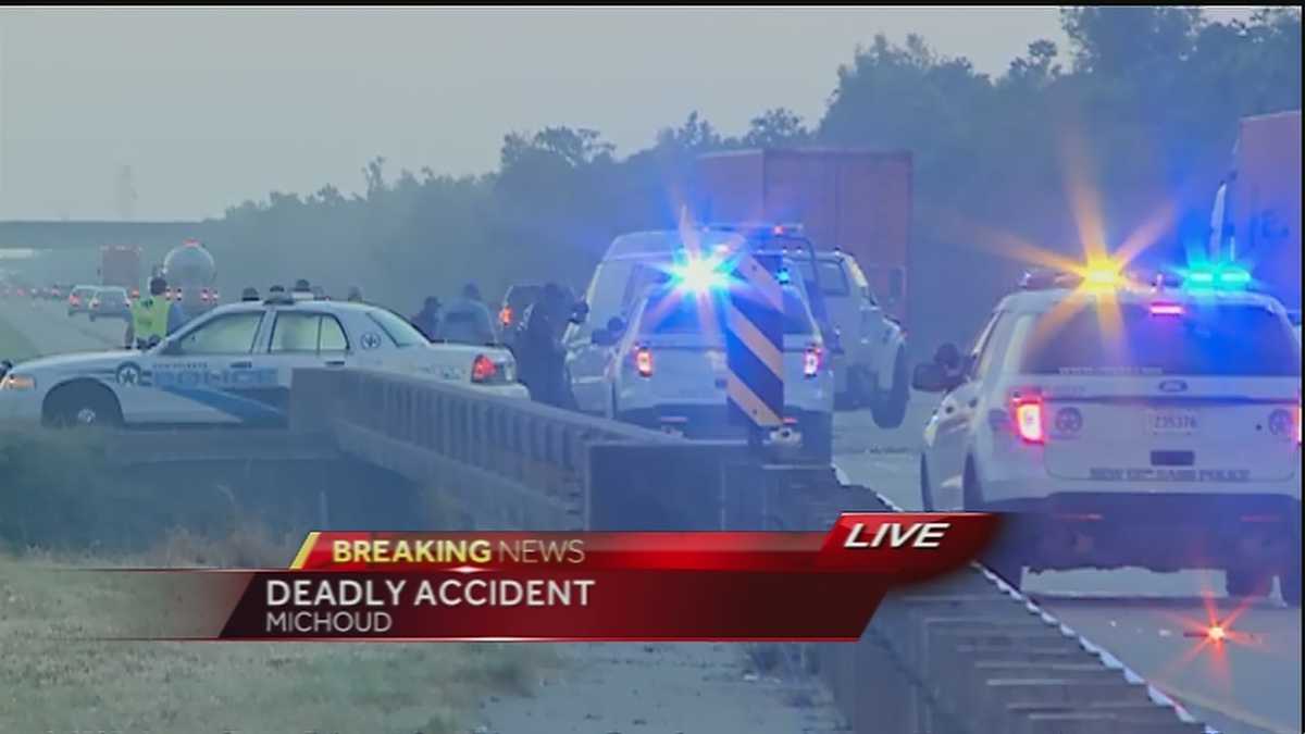 Alligator crosses I-10 at Michoud Blvd, causes deadly accident