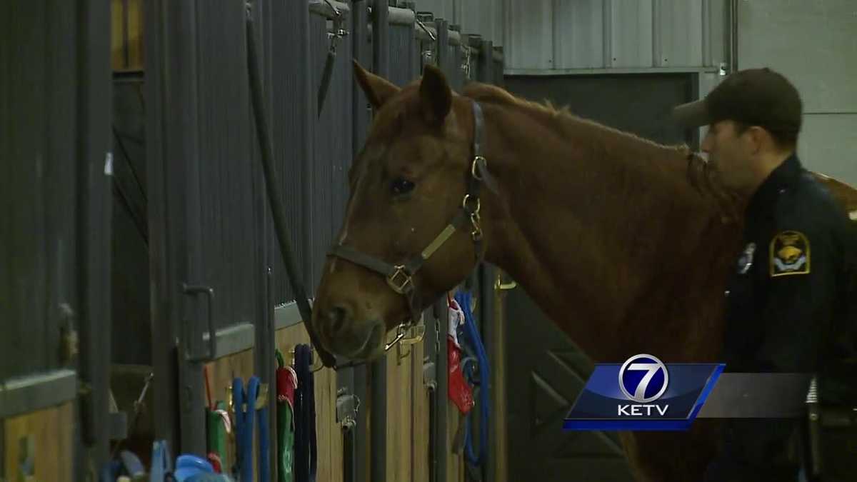 Jingle Bell Ride set to strut through Elkhorn