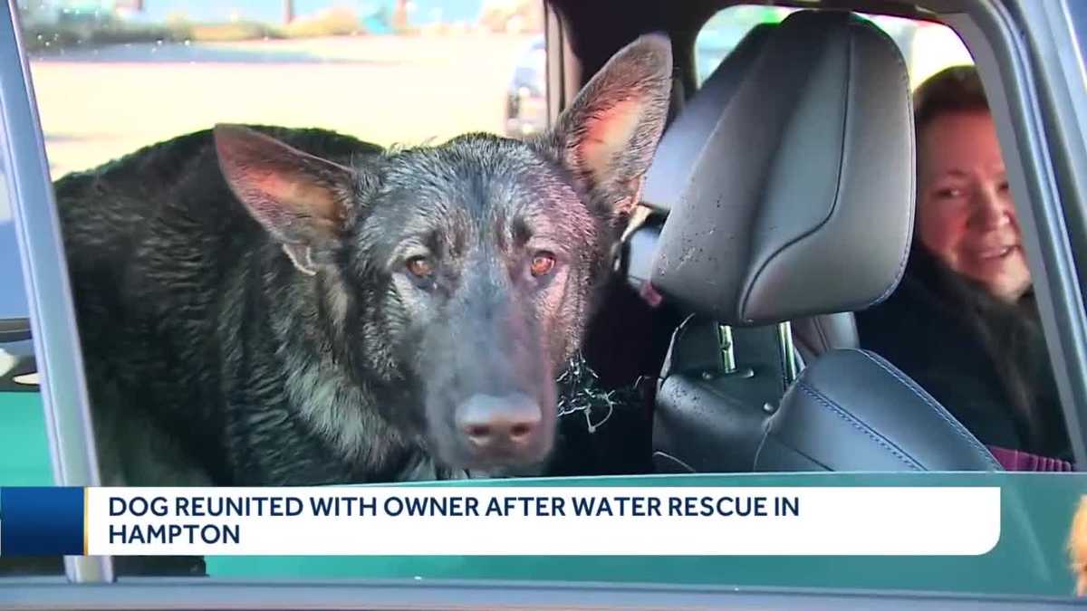 Saturday's headlines: Hampton dog rescue, Bretton Woods reopening