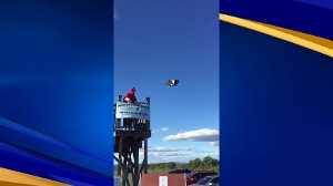 NH Audubon releases rehabilitated Cooper's hawk