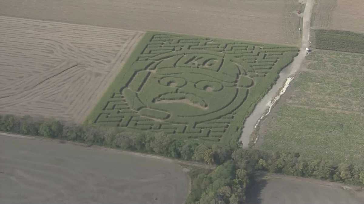 News Chopper 9 video: Corn maze honors Chiefs head coach Andy Reid
