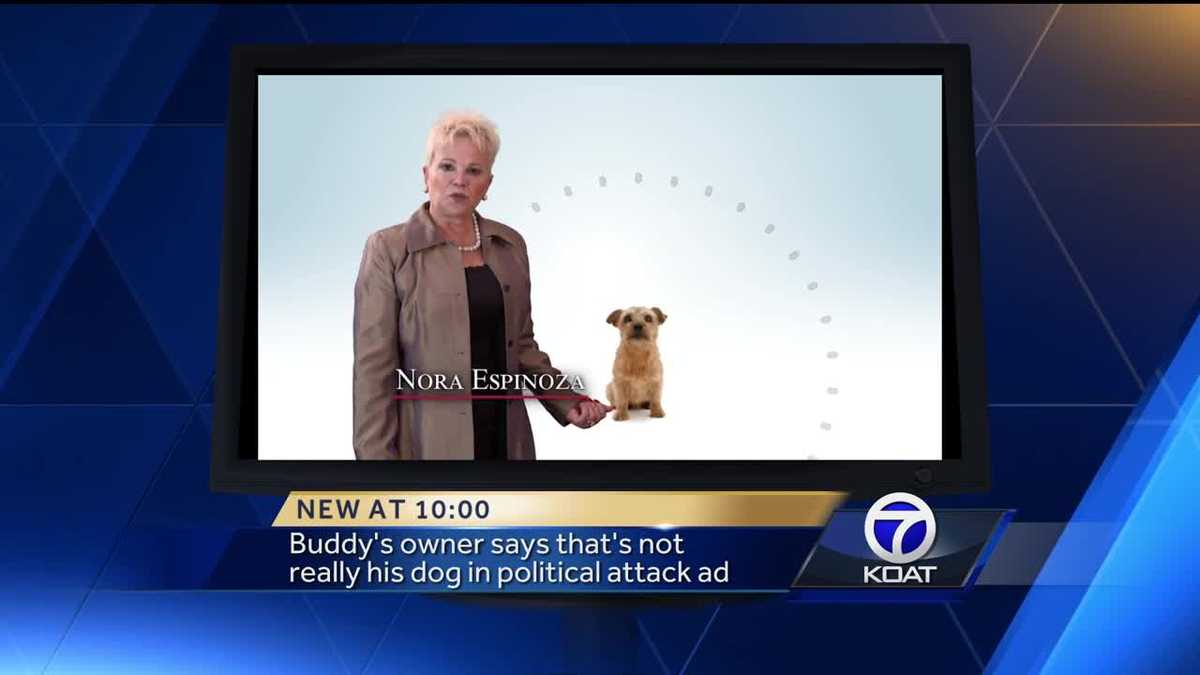 Dog's owner raises questions about political ads