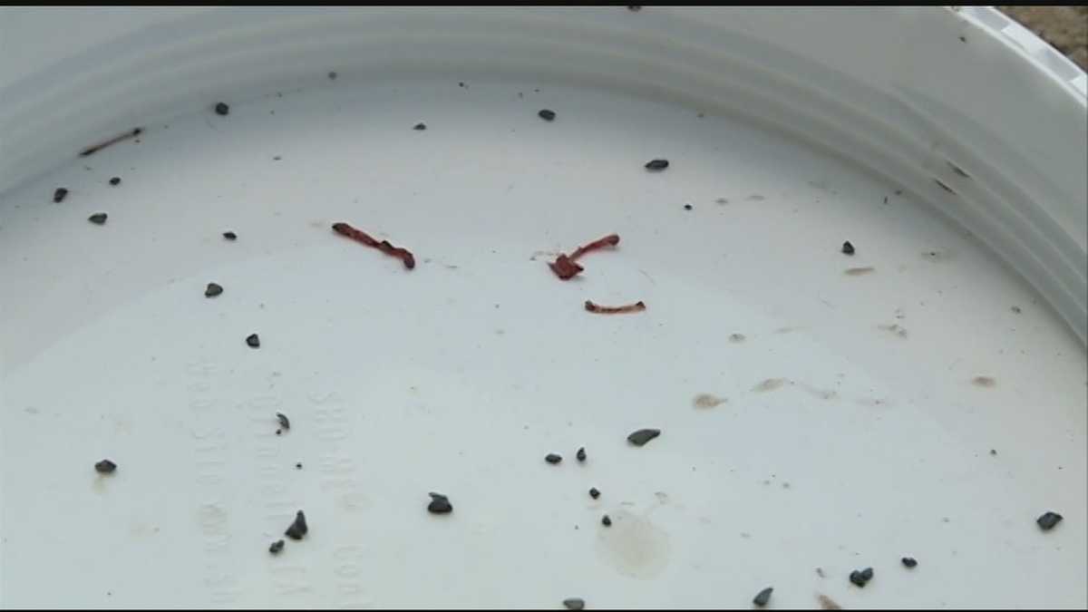 Worms floating in city's water supply