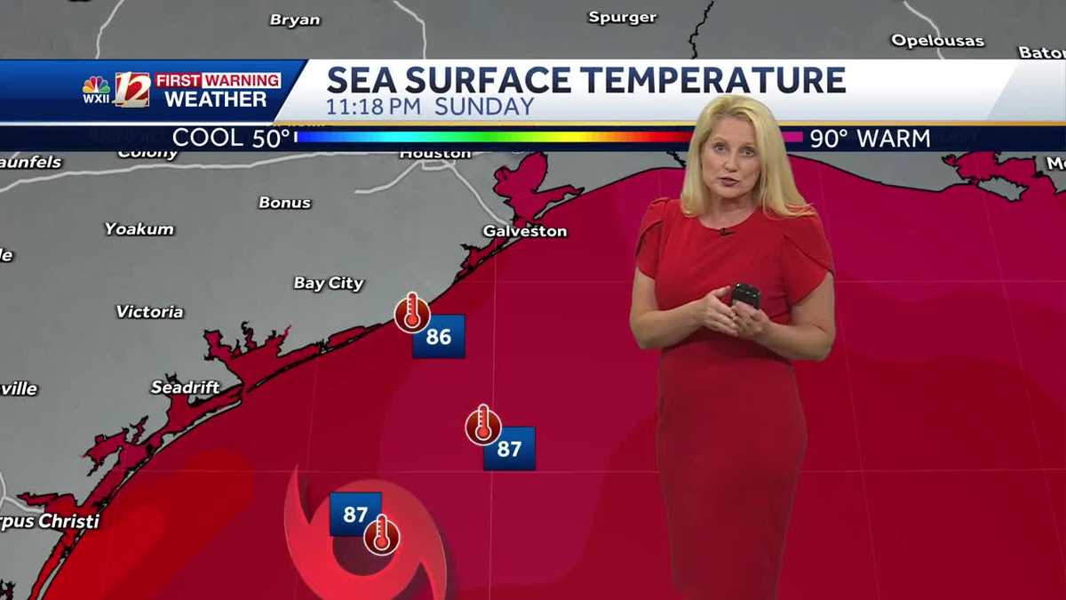 Beryl brings flash floods, storm surge to Texas- landfall Monday