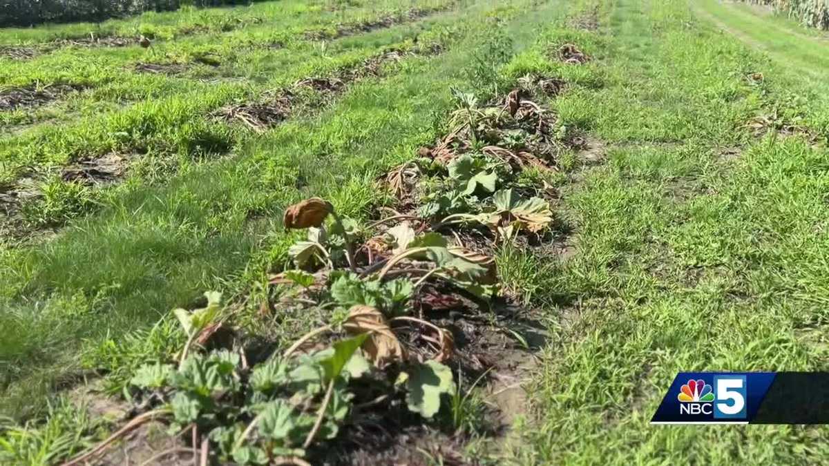 USDA declares Vermont as Natural Disaster Area following July flooding