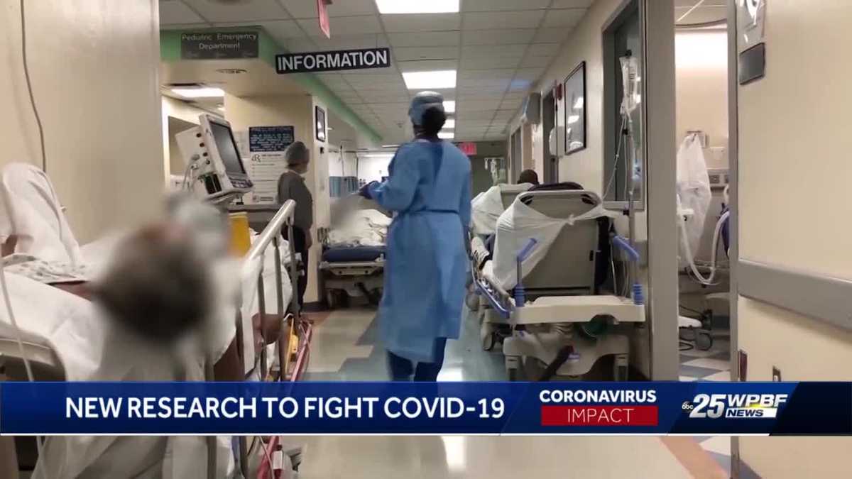 New research to fight Covid-19