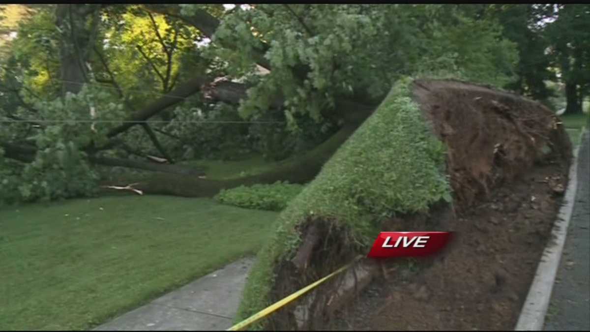 Storms topple massive trees, flood streets
