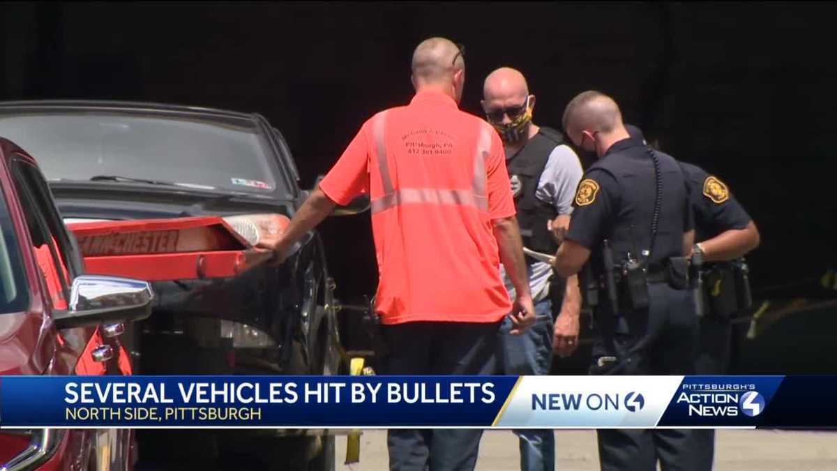 Police Investigate After Shots Were Fired On North Shore