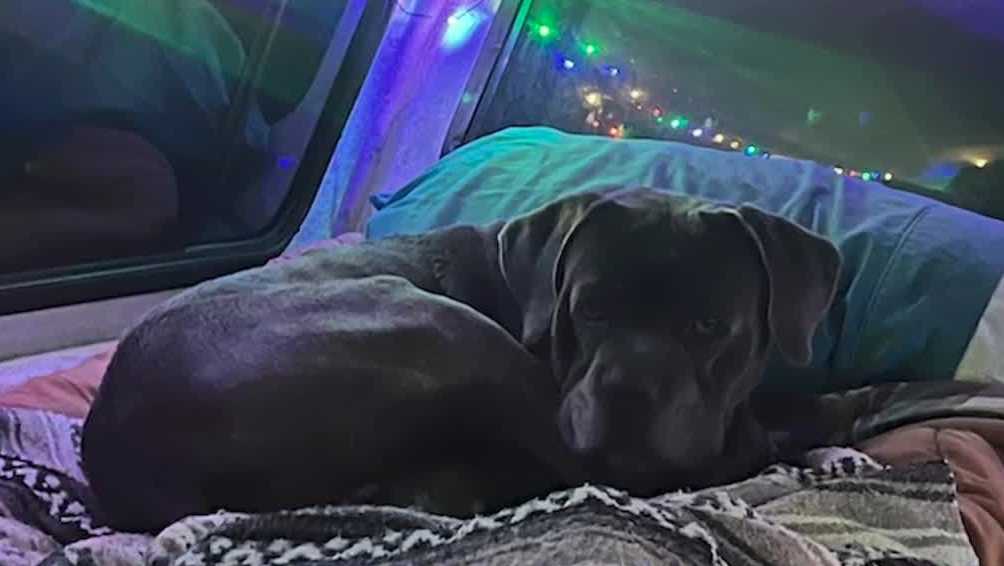 Hundreds attend fundraiser for Racine woman who lost her arm in dog attack