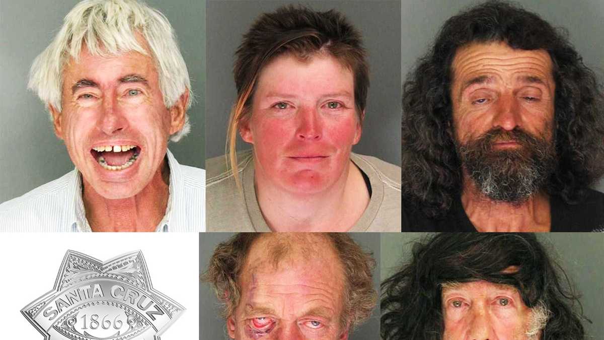 How will the Santa Cruz chronic offender program work?