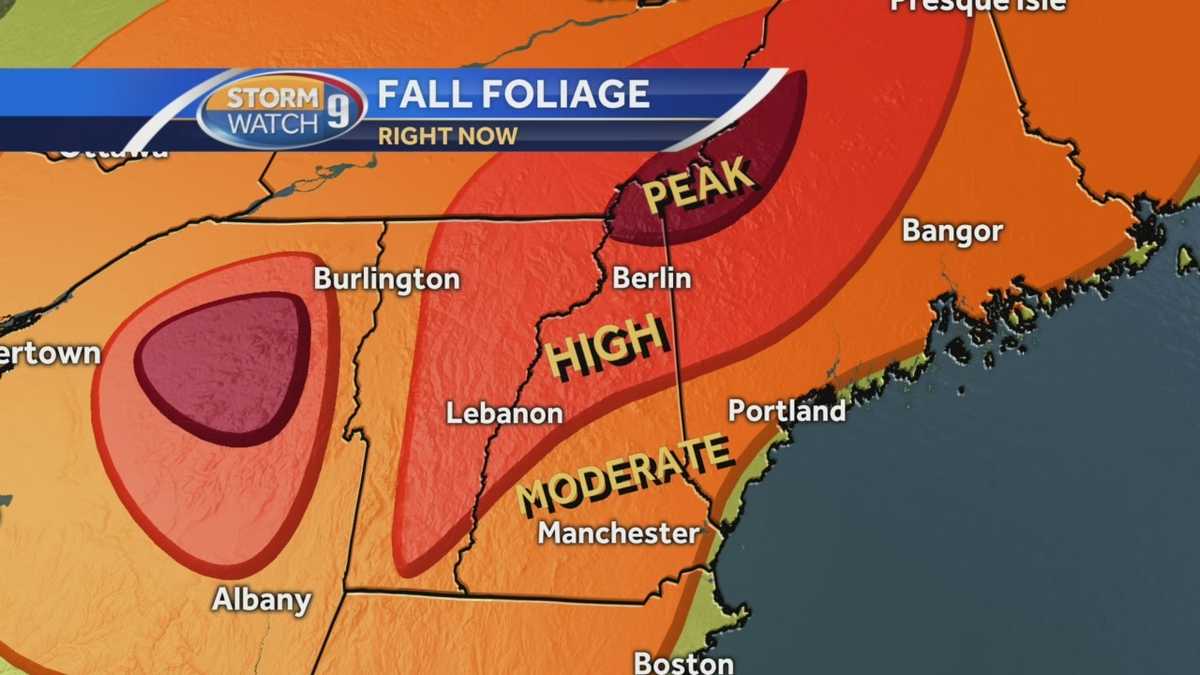 Fall foliage report: Nice weather for viewing peak color