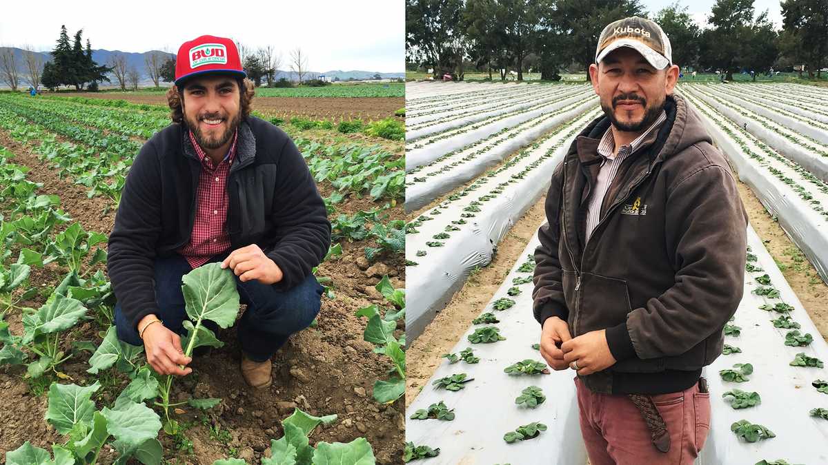 Farmer workers given small plots of land for their own organic farms