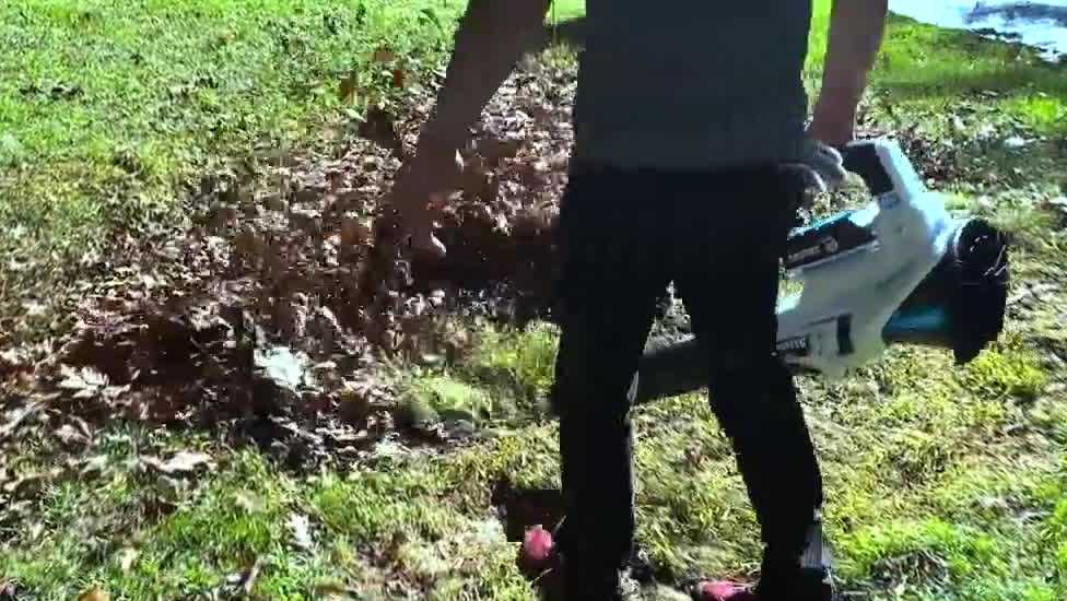 Consumer Reports: What to know about fall yard cleanup options