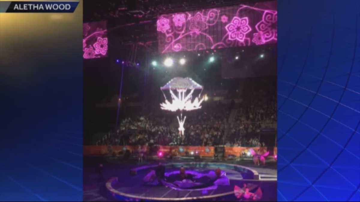 Circus fall stuns audience