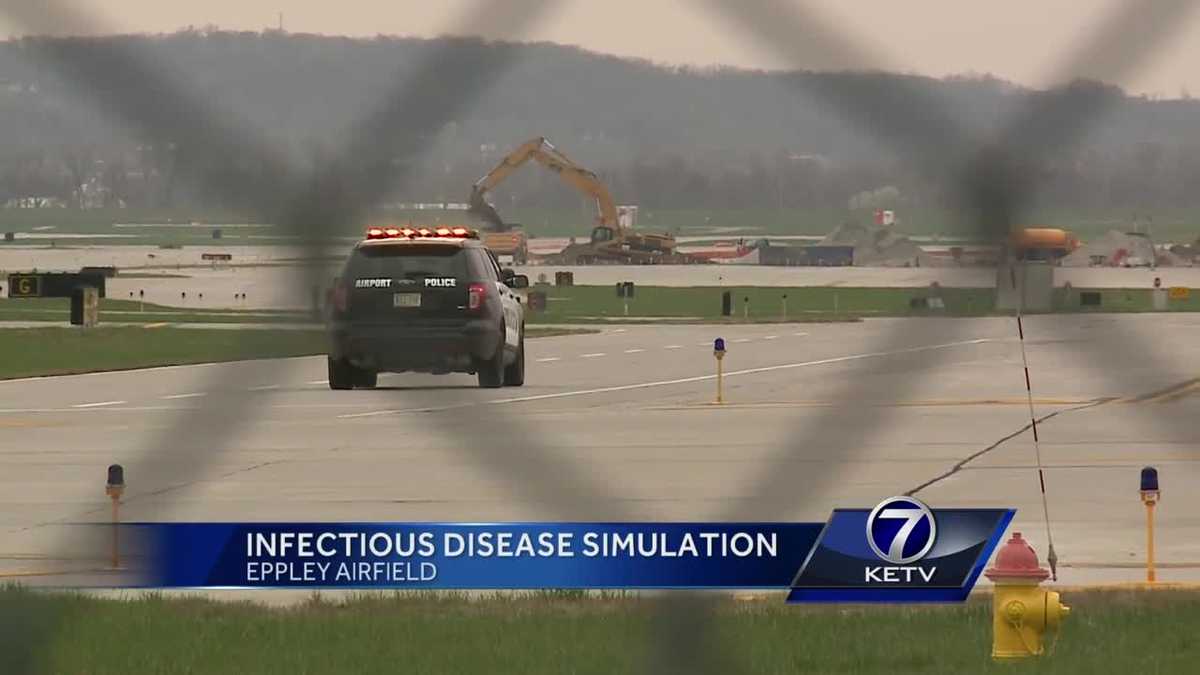 Infectious disease simulation