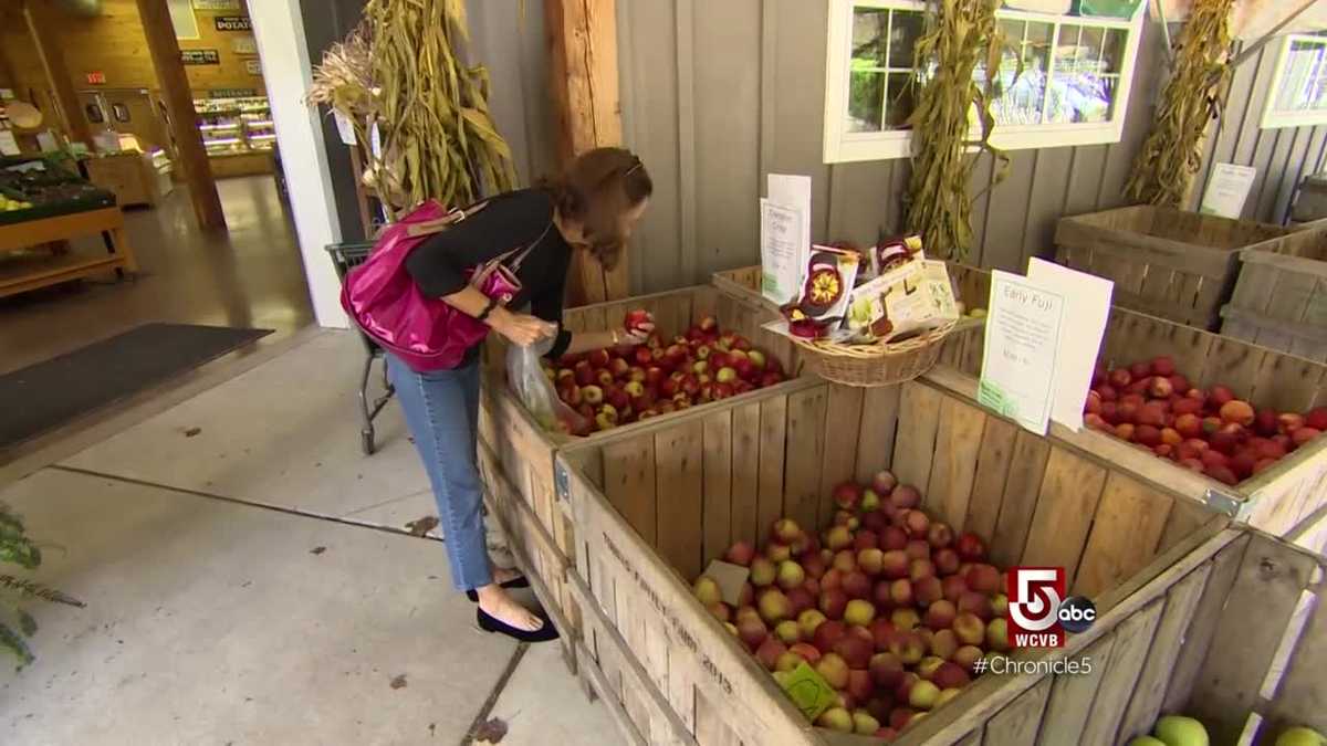 An autumn adventure with nature's candy