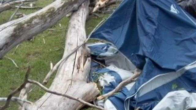 3 injured when tree falls on tent