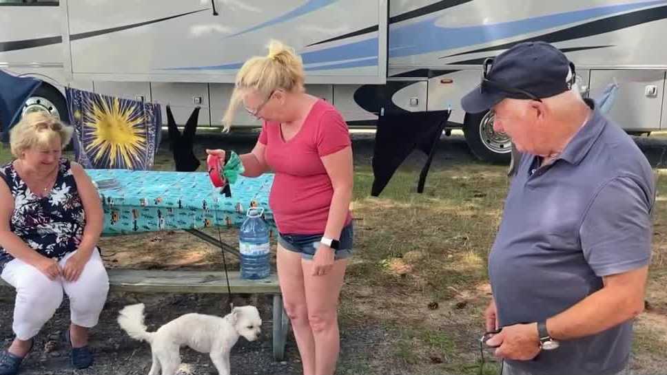 CDC to revisit rules for dogs at border crossings