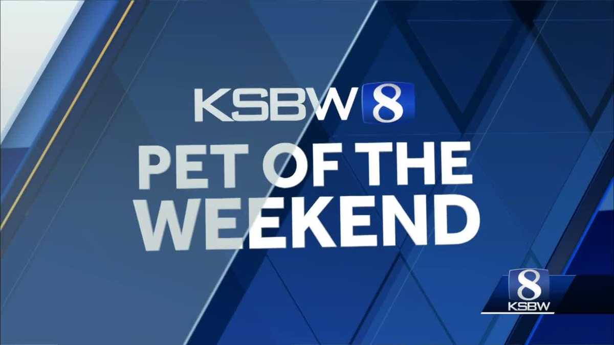 KSBW Pets of the Weekend