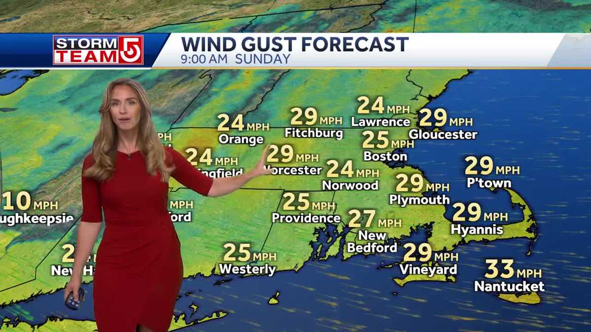 Video- Windy And Cool Today