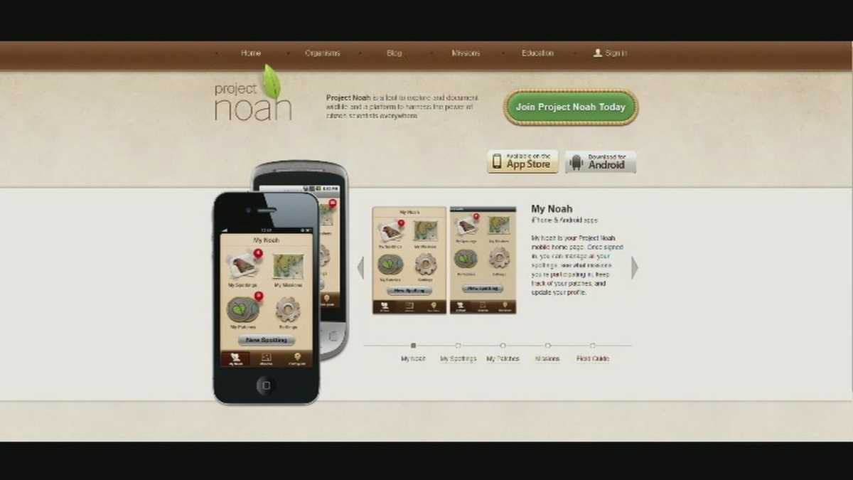 Tech Talk: Project Noah