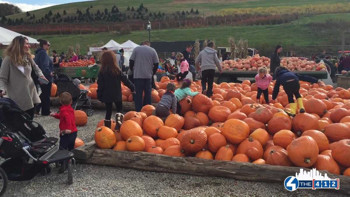 4 the 412: Fun at Trax Farms