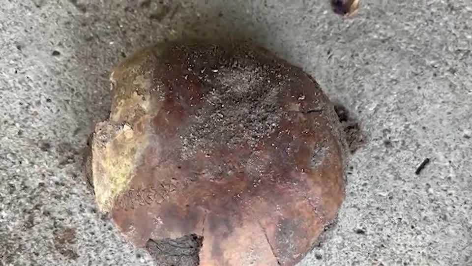Human remains that date back more than 4,200 years found along Indiana ...